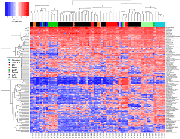 AACR Posters - Certis Oncology